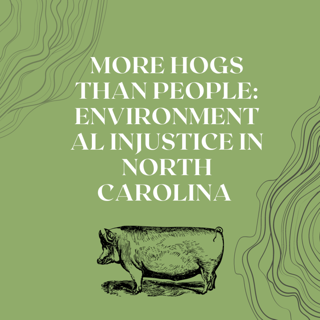More Hogs Than People: Environmental Injustice in North Carolina ...